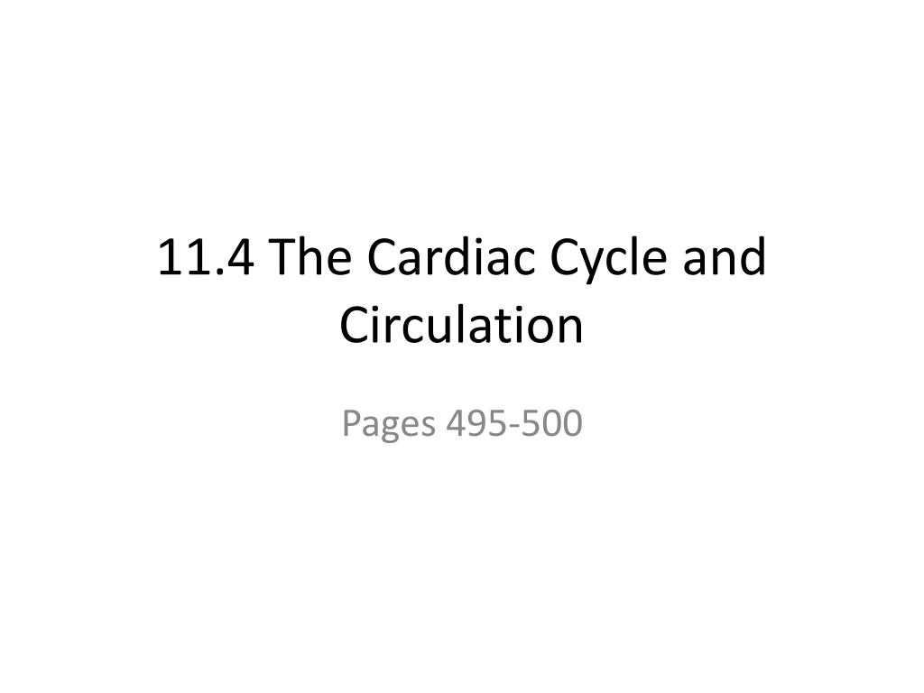 PPT - 11.4 The Cardiac Cycle and Circulation PowerPoint Presentation ...