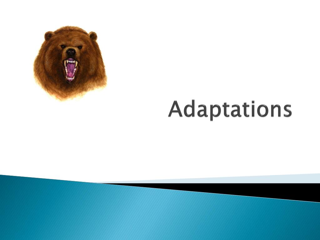 PPT - Adaptations PowerPoint Presentation, free download - ID:2435096