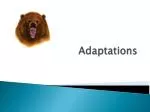 PPT - NINE TYPES OF ADAPTATIONS PowerPoint Presentation, free download ...