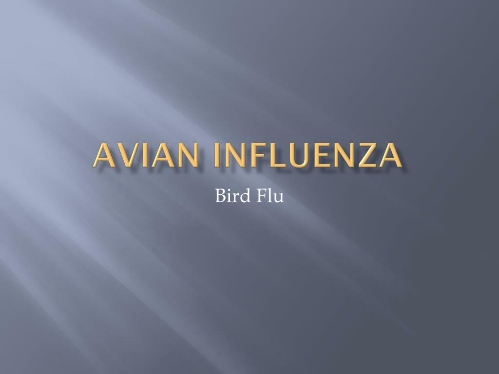 PPT - Understanding Avian Influenza: Symptoms, Transmission, and ...