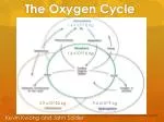 PPT - The Oxygen Cycle PowerPoint Presentation, free download - ID:5142766