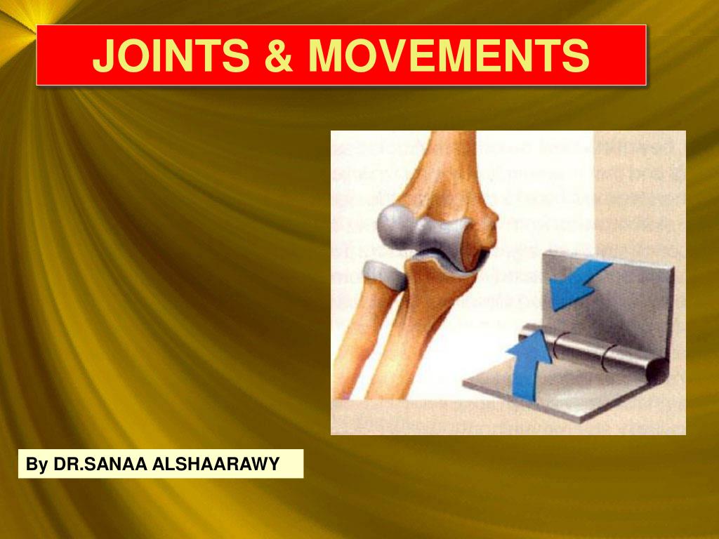 PPT - JOINTS & MOVEMENTS PowerPoint Presentation, free download - ID ...