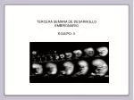PPT - Desarrollo Embrionario PowerPoint Presentation, free download ...