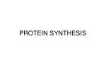 PPT - Protein Synthesis PowerPoint Presentation, free download - ID:4150030