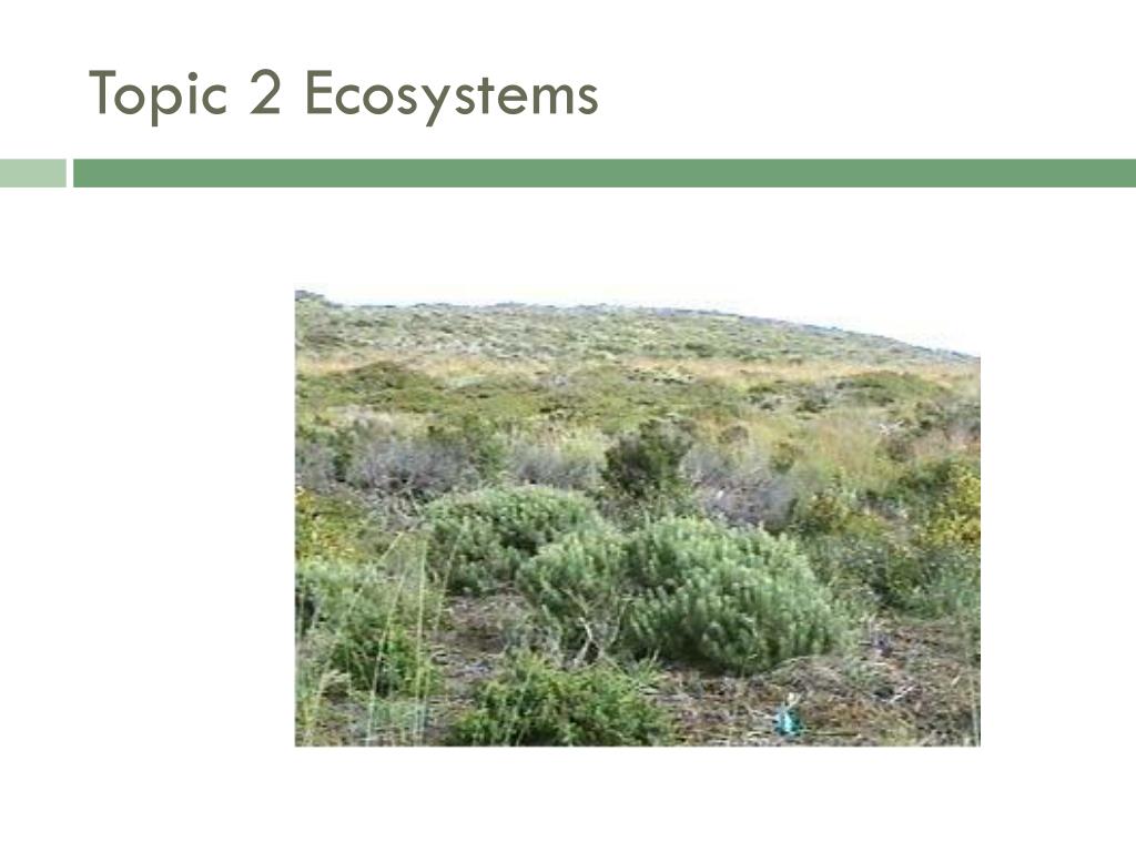 PPT - Topic 2 Ecosystems PowerPoint Presentation, free download - ID ...