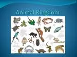 PPT - Classification & The Animal Kingdom PowerPoint Presentation, free ...