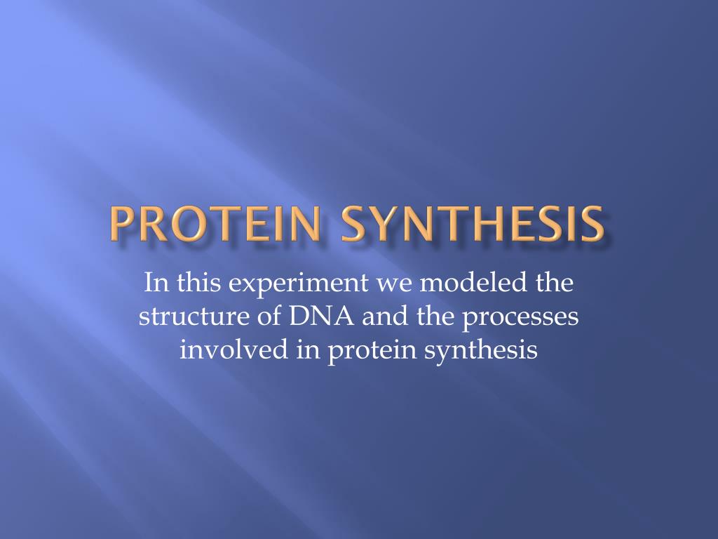 PPT - DNA and Protein Synthesis Experiment: Modeling the Molecular ...