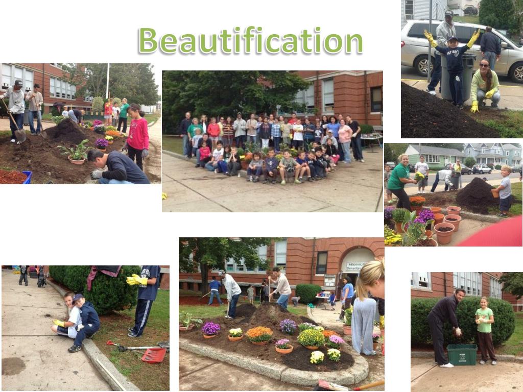 PPT - Beautification PowerPoint Presentation, free download - ID:2438029