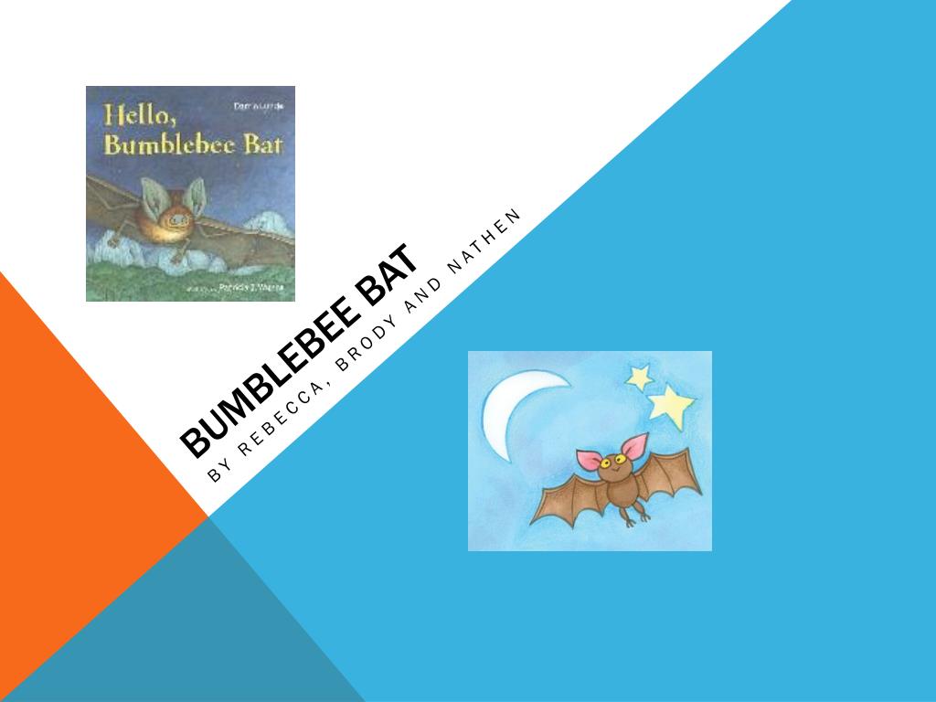 PPT - BumbleBee Bat PowerPoint Presentation, free download - ID:2439646