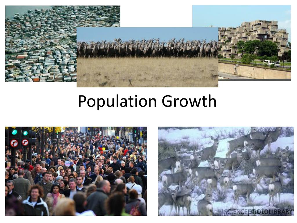 PPT - Population Growth PowerPoint Presentation, free download - ID:2442708