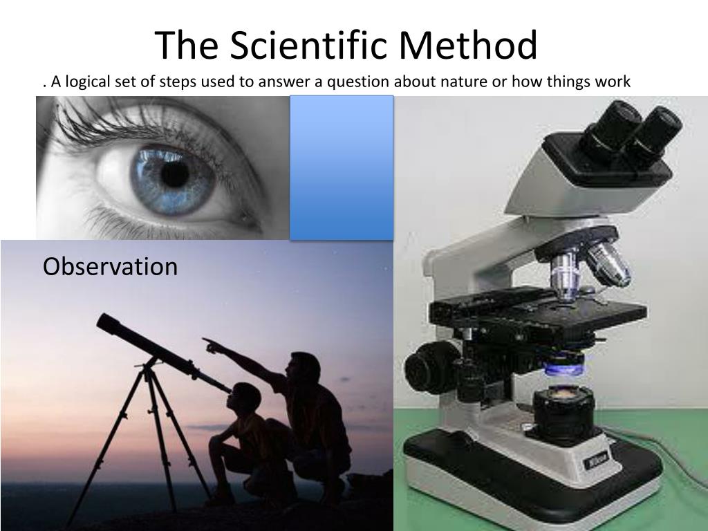 PPT - The Scientific Method: Logical Steps for Nature Exploration ...