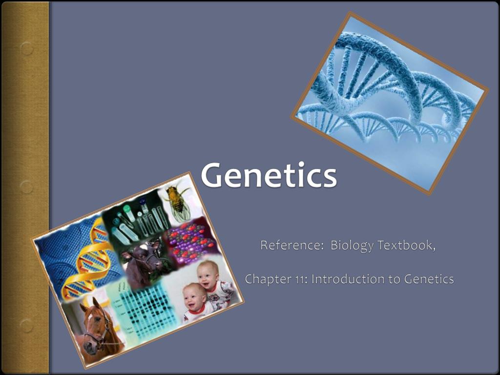 PPT - Genetics PowerPoint Presentation, free download - ID:2444040