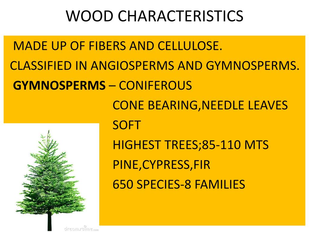 PPT - WOOD CHARACTERISTICS PowerPoint Presentation, free download - ID ...