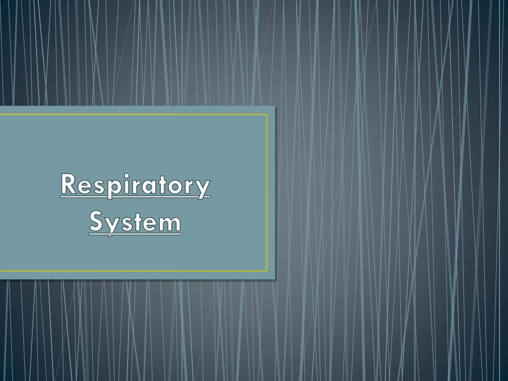 PPT - Respiratory System PowerPoint Presentation, free download - ID ...