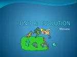 PPT - Unit 10 Evolution PowerPoint Presentation, free download - ID:5434281