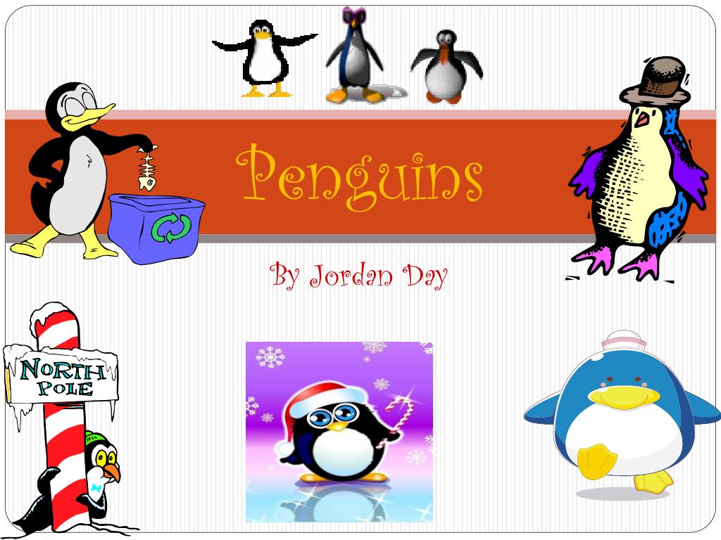 PPT - Penguins PowerPoint Presentation, free download - ID:2453688