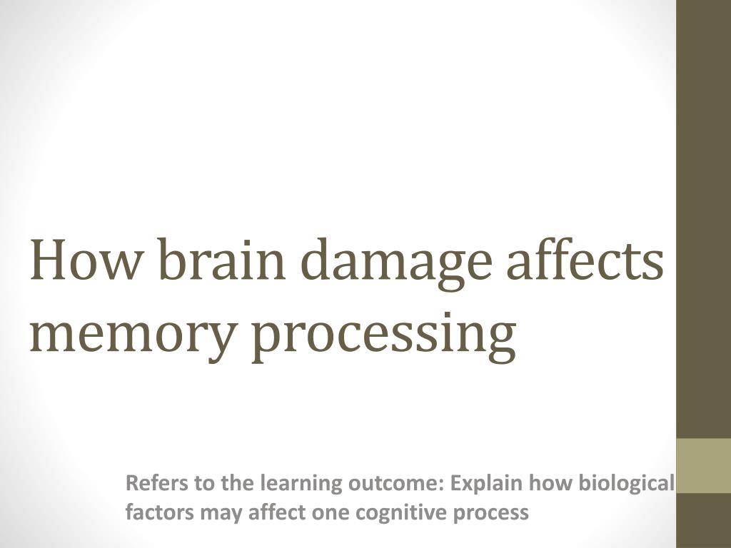 PPT - How brain damage affects memory processing PowerPoint ...