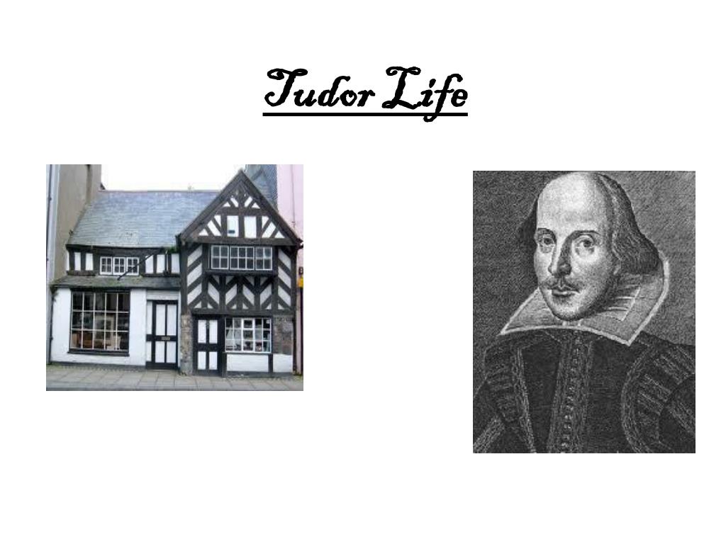 PPT - Tudor Life PowerPoint Presentation, free download - ID:2454501