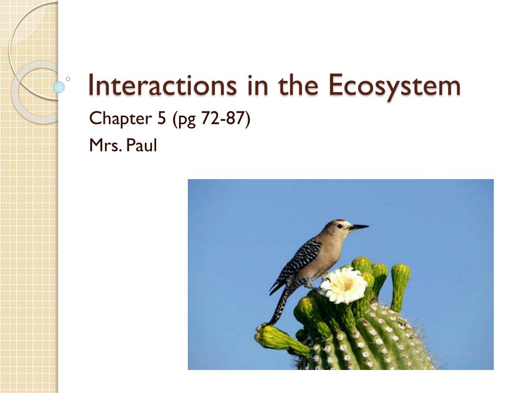 PPT - Interactions in the Ecosystem PowerPoint Presentation, free ...