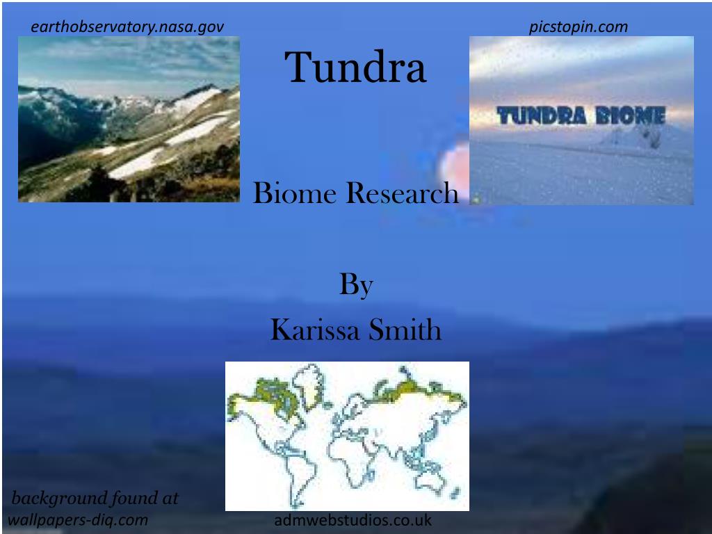 PPT - Tundra PowerPoint Presentation, free download - ID:2457226