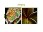PPT - Sensory Imagery PowerPoint Presentation, free download - ID:1835207