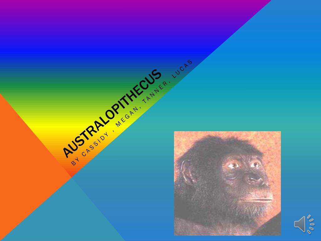 PPT - Australopithecus PowerPoint Presentation, free download - ID:2458134