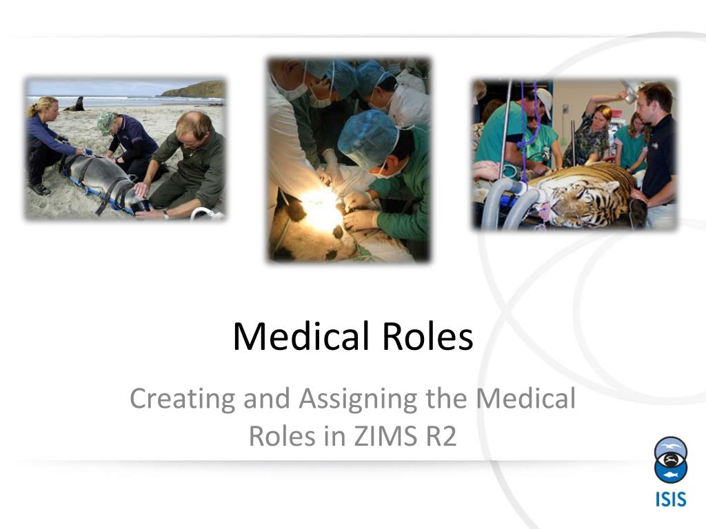 PPT - Medical Roles PowerPoint Presentation, free download - ID:2458234