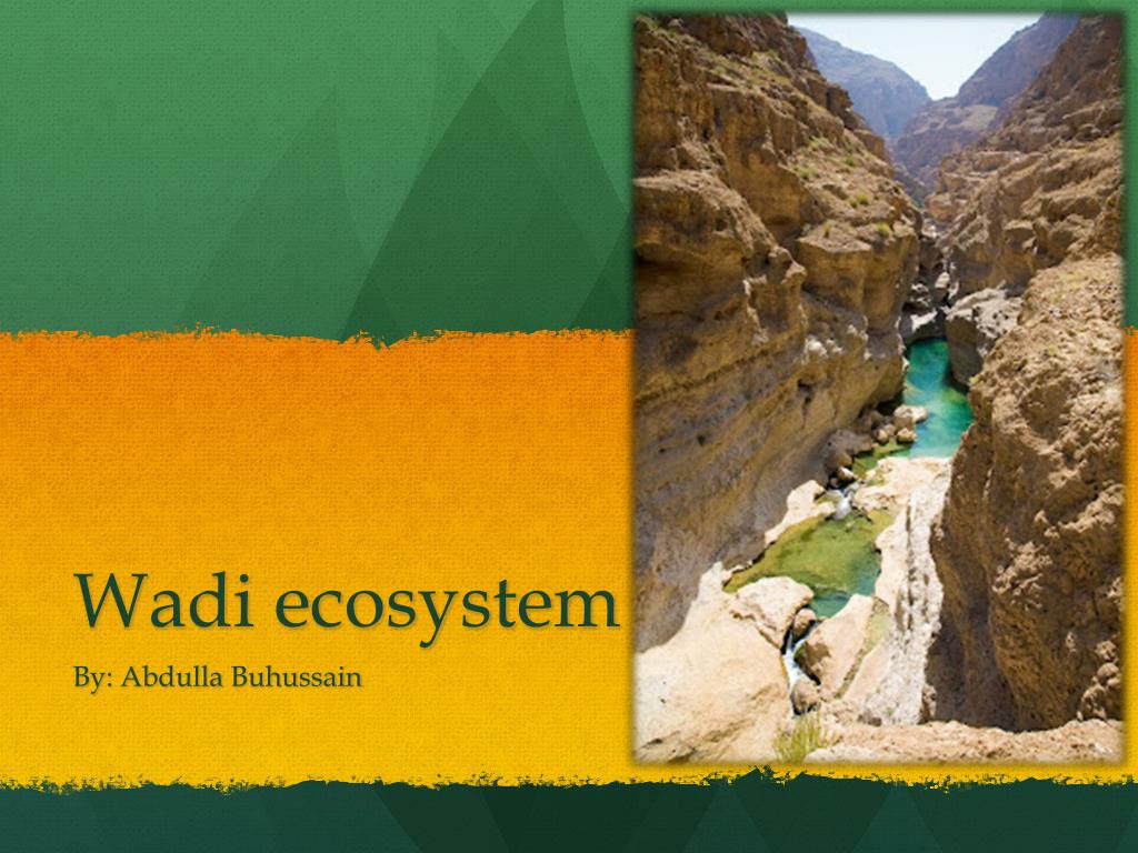 PPT - Wadi ecosystem PowerPoint Presentation, free download - ID:2458428