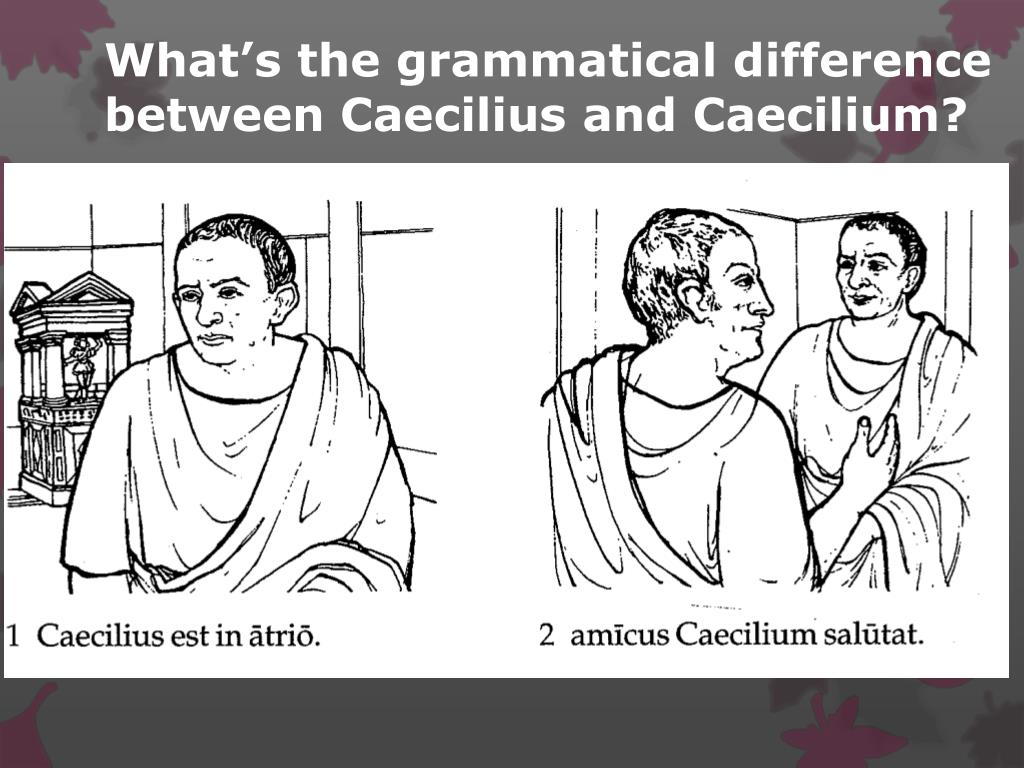 PPT - What’s the grammatical difference between Caecilius and Caecilium ...