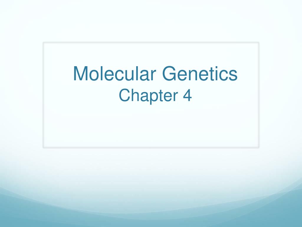 PPT - Molecular Genetics Chapter 4 PowerPoint Presentation, free ...
