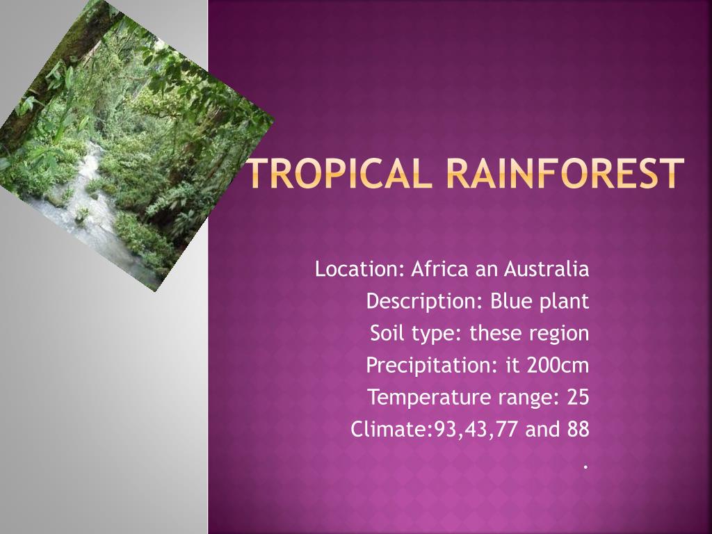 PPT - Tropical Rainforest PowerPoint Presentation, free download - ID ...