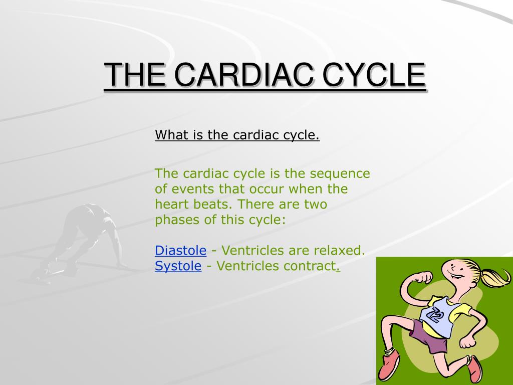 PPT - THE CARDIAC CYCLE PowerPoint Presentation, free download - ID:2463221