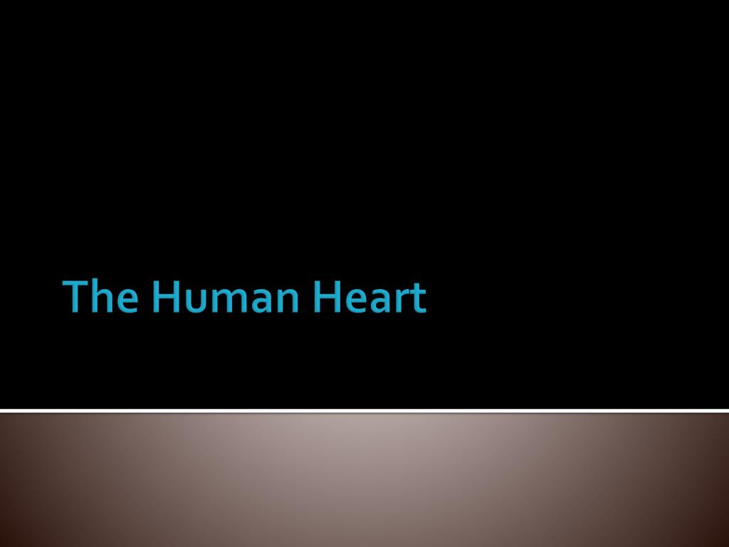 PPT - The Human Heart PowerPoint Presentation, free download - ID:2463232