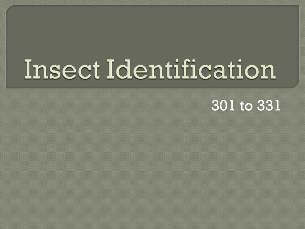 PPT - Insect Identification PowerPoint Presentation, free download - ID ...