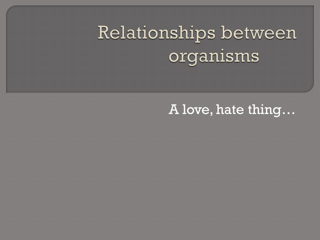 PPT - Relationships between organisms PowerPoint Presentation, free ...