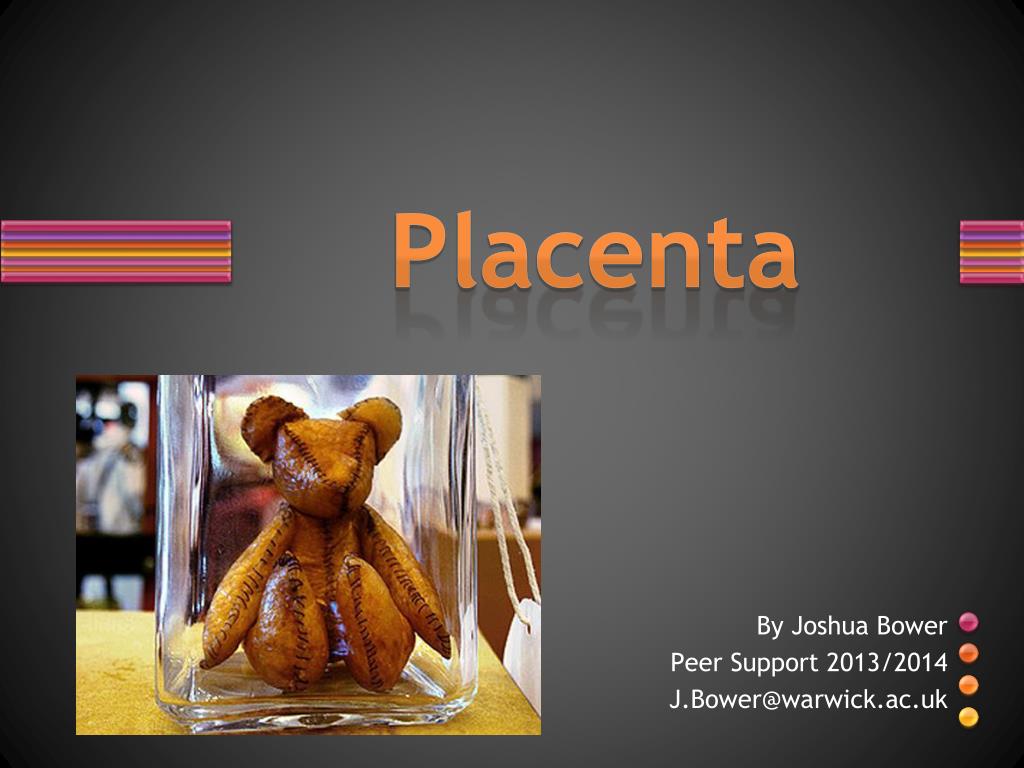 PPT - Placenta PowerPoint Presentation, free download - ID:2466508