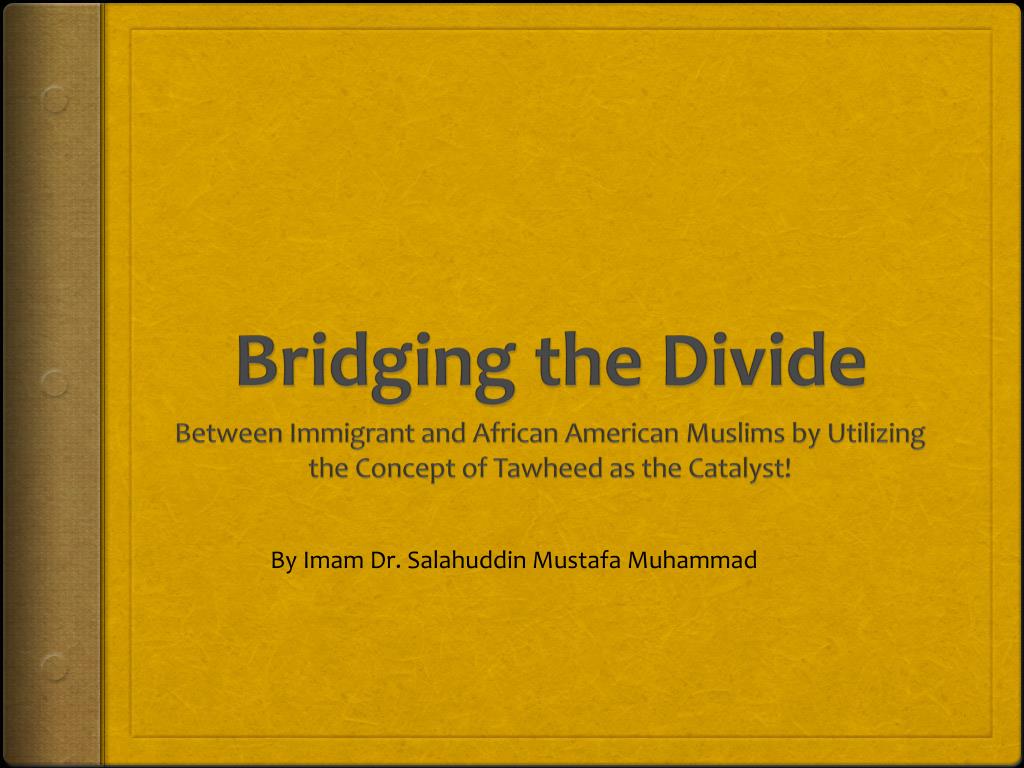PPT - Bridging the Divide PowerPoint Presentation, free download - ID ...