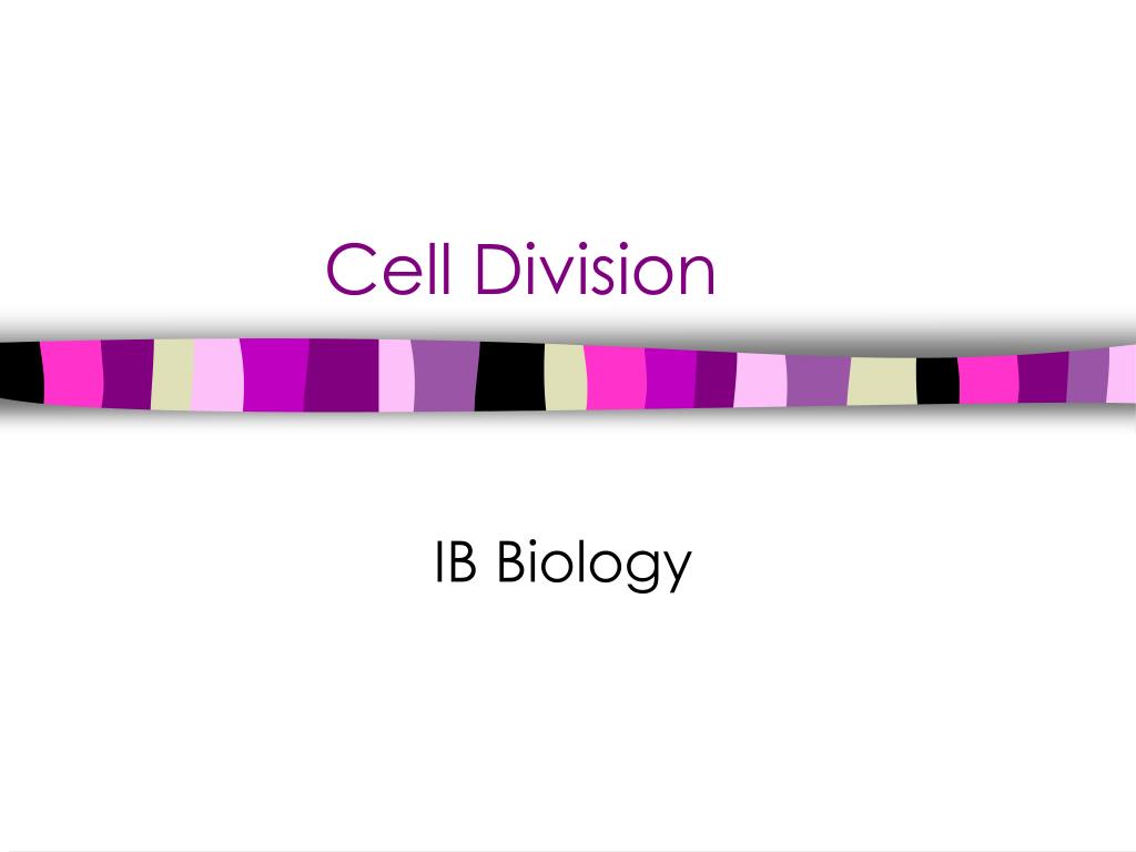 PPT - IB Biology PowerPoint Presentation, free download - ID:2469804