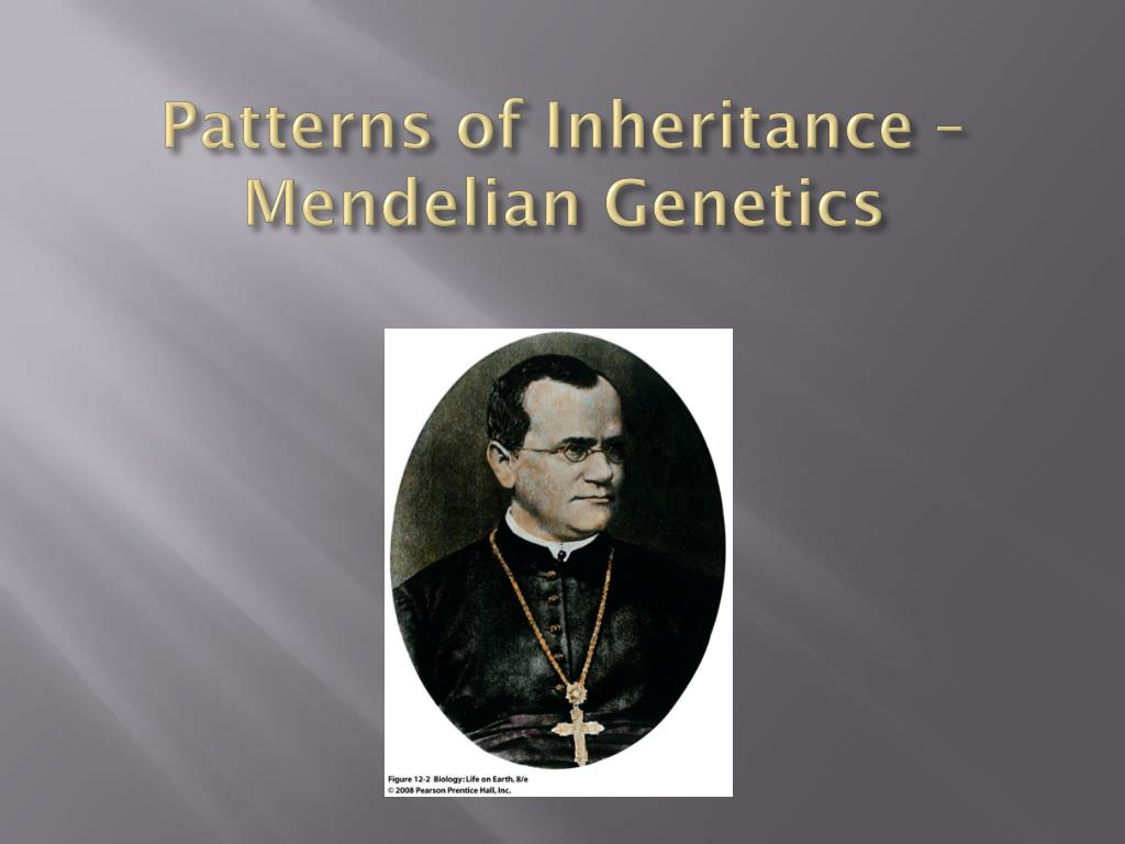 PPT - Patterns of Inheritance – Mendelian Genetics PowerPoint ...
