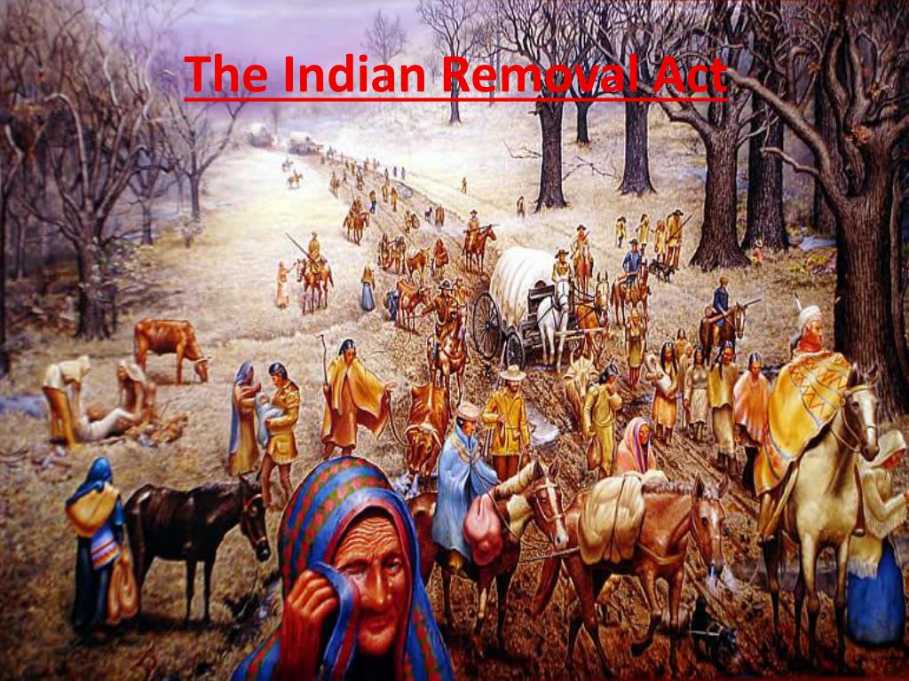 PPT - The Indian Removal Act PowerPoint Presentation, free download ...