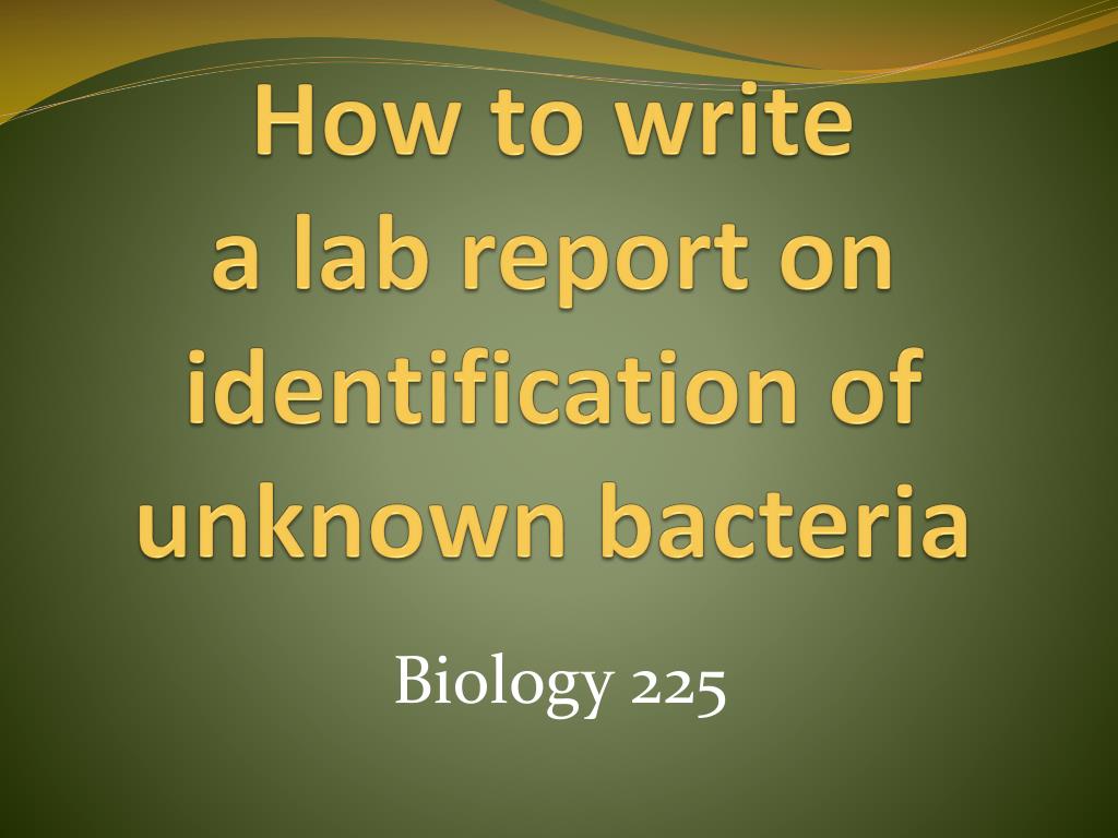 PPT - How to write a lab report on identification of unknown bacteria PowerPoint Presentation ...