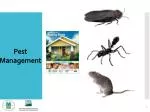 PPT - Pest Management PowerPoint Presentation, free download - ID:5634635