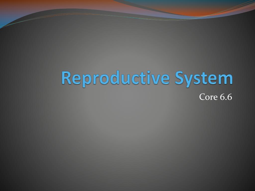 PPT - Reproductive System PowerPoint Presentation, free download - ID ...