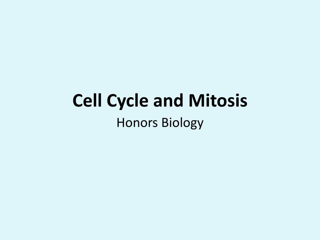 PPT - Cell Cycle and Mitosis PowerPoint Presentation, free download ...
