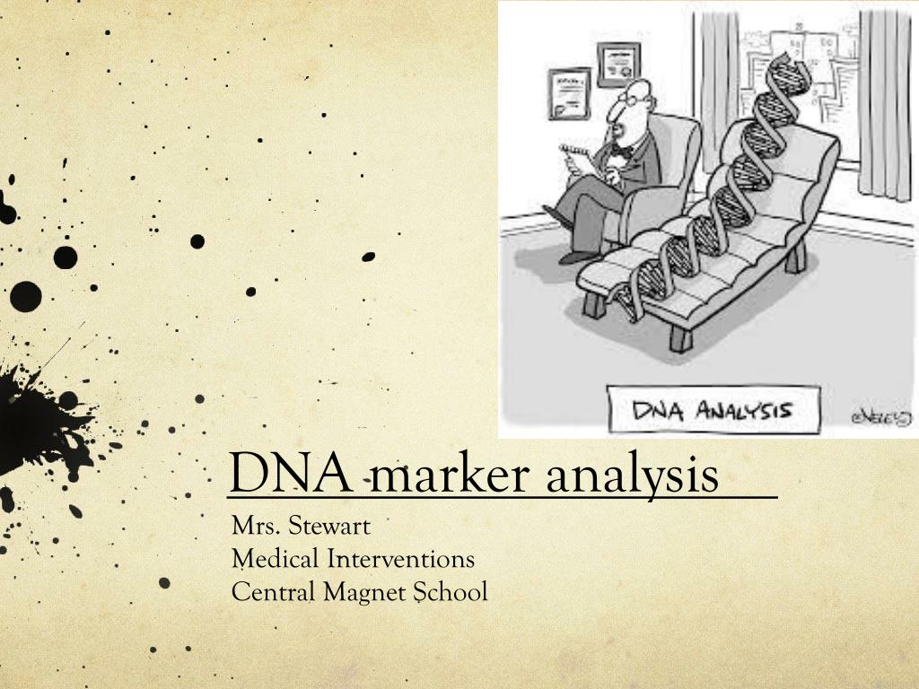 PPT - DNA marker analysis PowerPoint Presentation, free download - ID ...