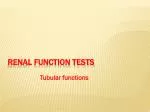 PPT - RENAL FUNCTION TESTS PowerPoint Presentation, free download - ID ...