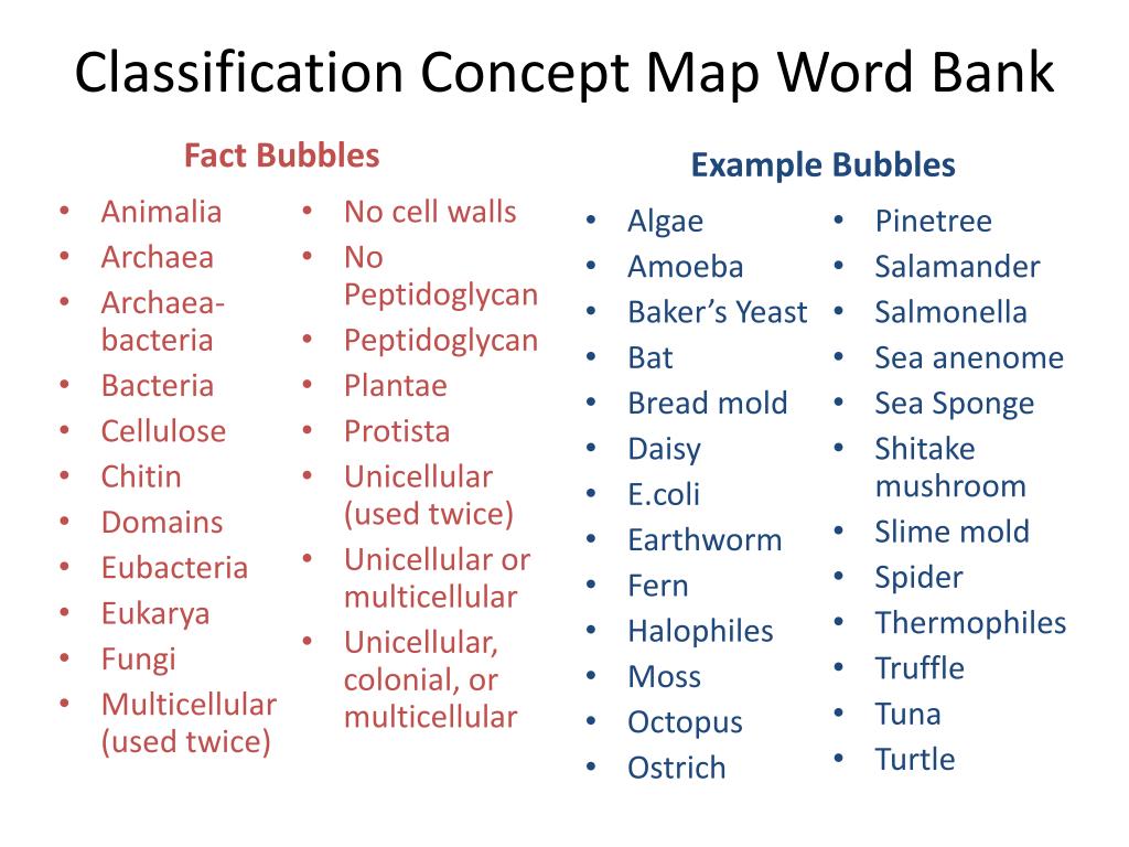 PPT - Classification Concept Map Word Bank PowerPoint Presentation ...