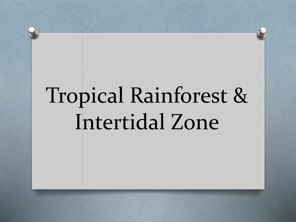 PPT - Tropical Rainforest & Intertidal Zone PowerPoint Presentation ...
