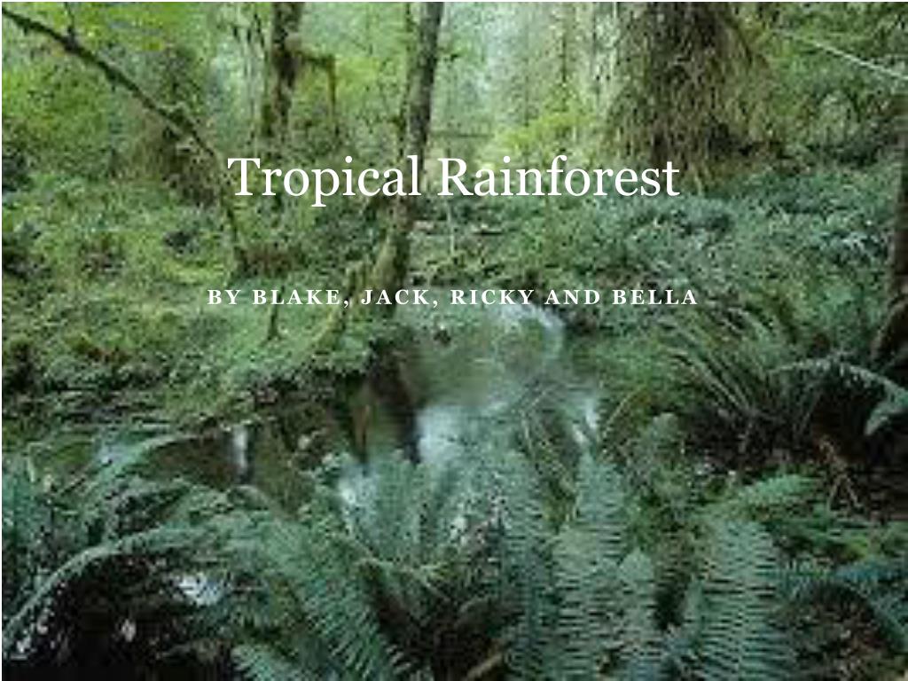 PPT - Tropical Rainforest PowerPoint Presentation, free download - ID ...