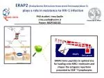 PPT - The Unfolded Protein Response (UPR) & The Endoplasmic Reticulum ...